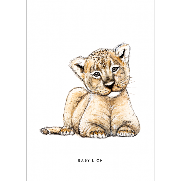 Poster A4 + Posterhangers Baby Leeuw – Het land van Ooit