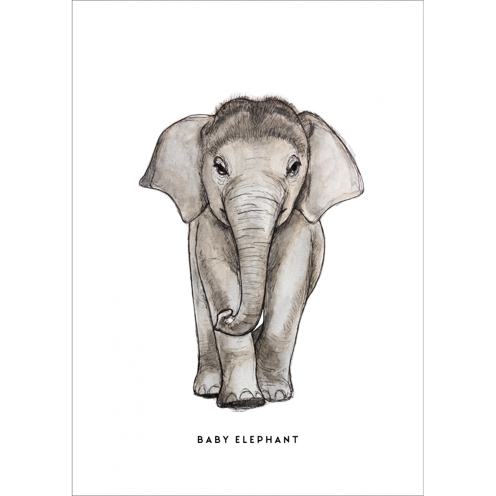 Poster A4 + Posterhangers Baby Olifant – Het Land van Ooit - Webshop